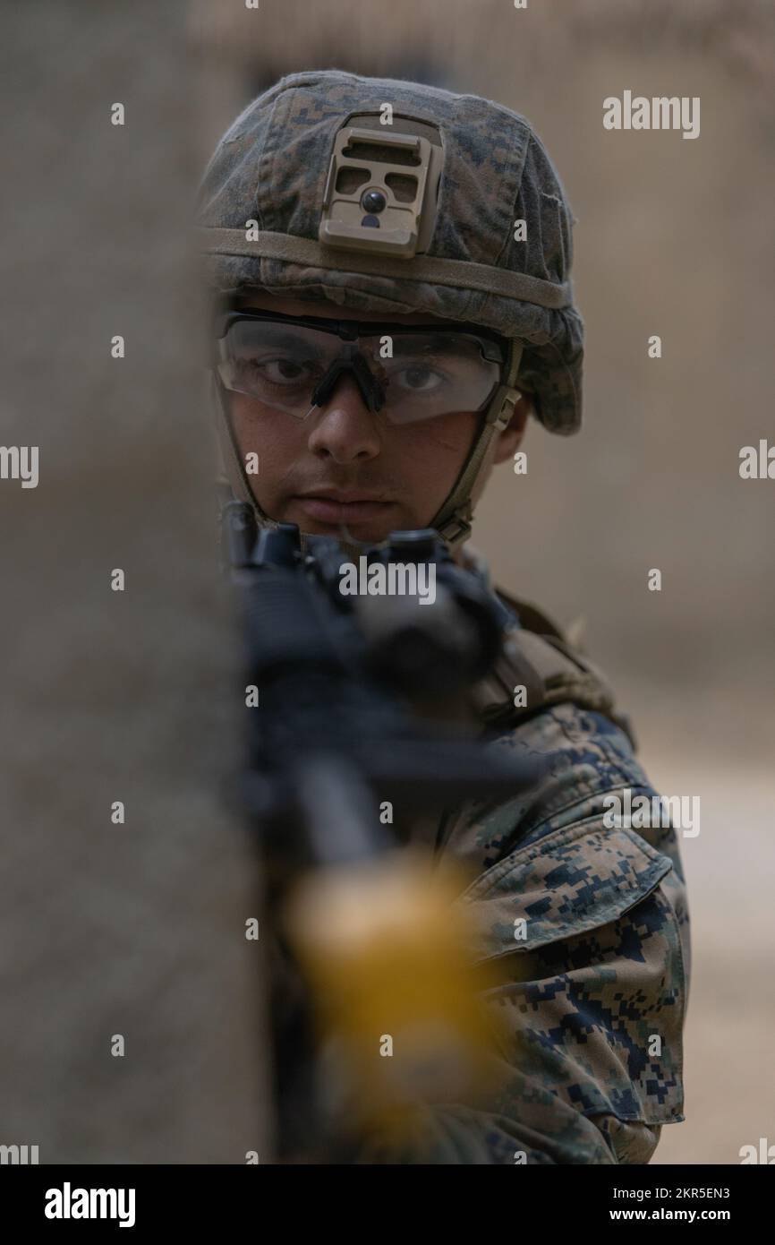 U.S. Marine Corps Lance Cpl. Domanick Pickler, an Oswego, Illinois ...