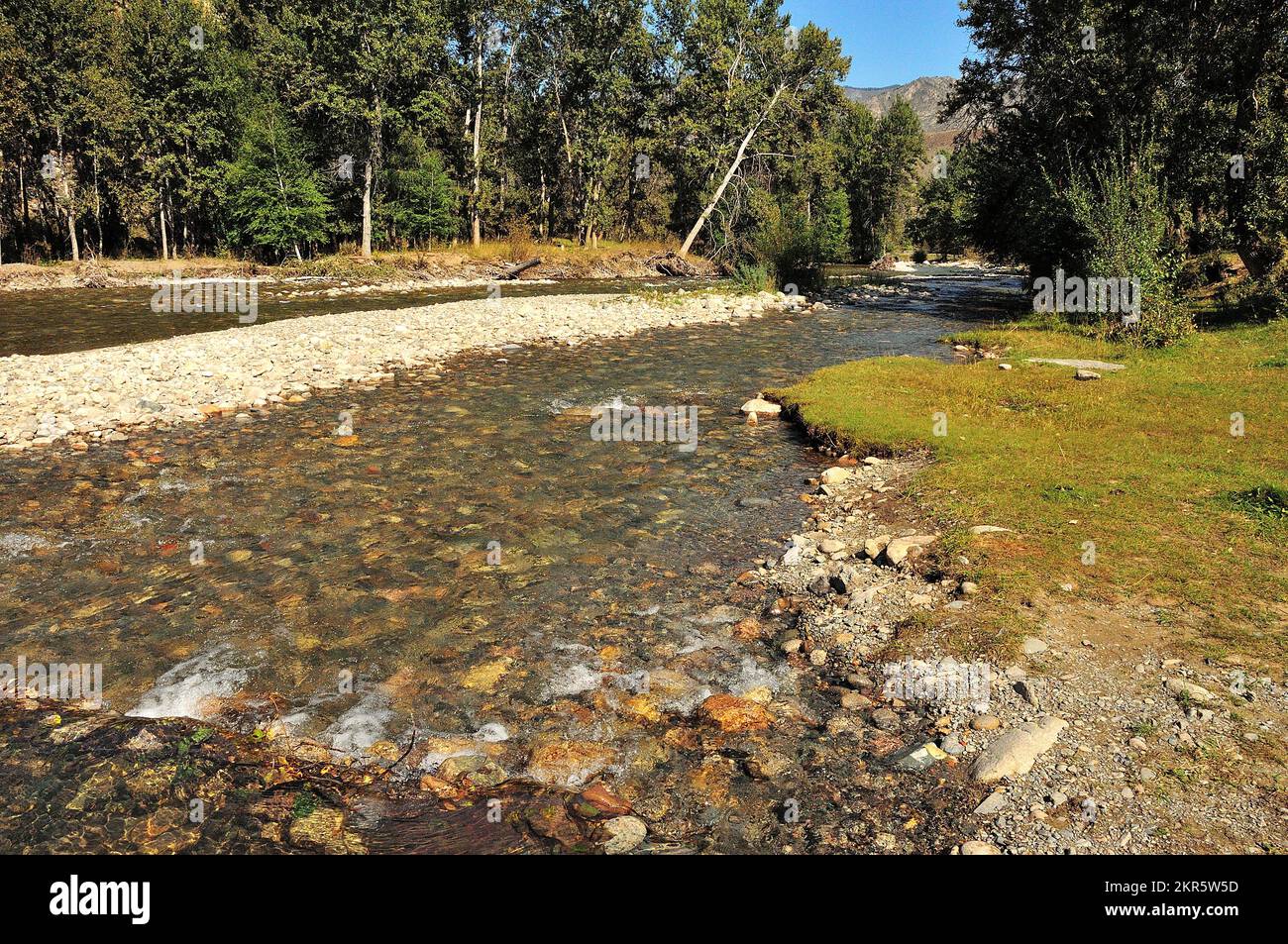 Two channels of a shallow rocky river join at the edge of a beautiful ...