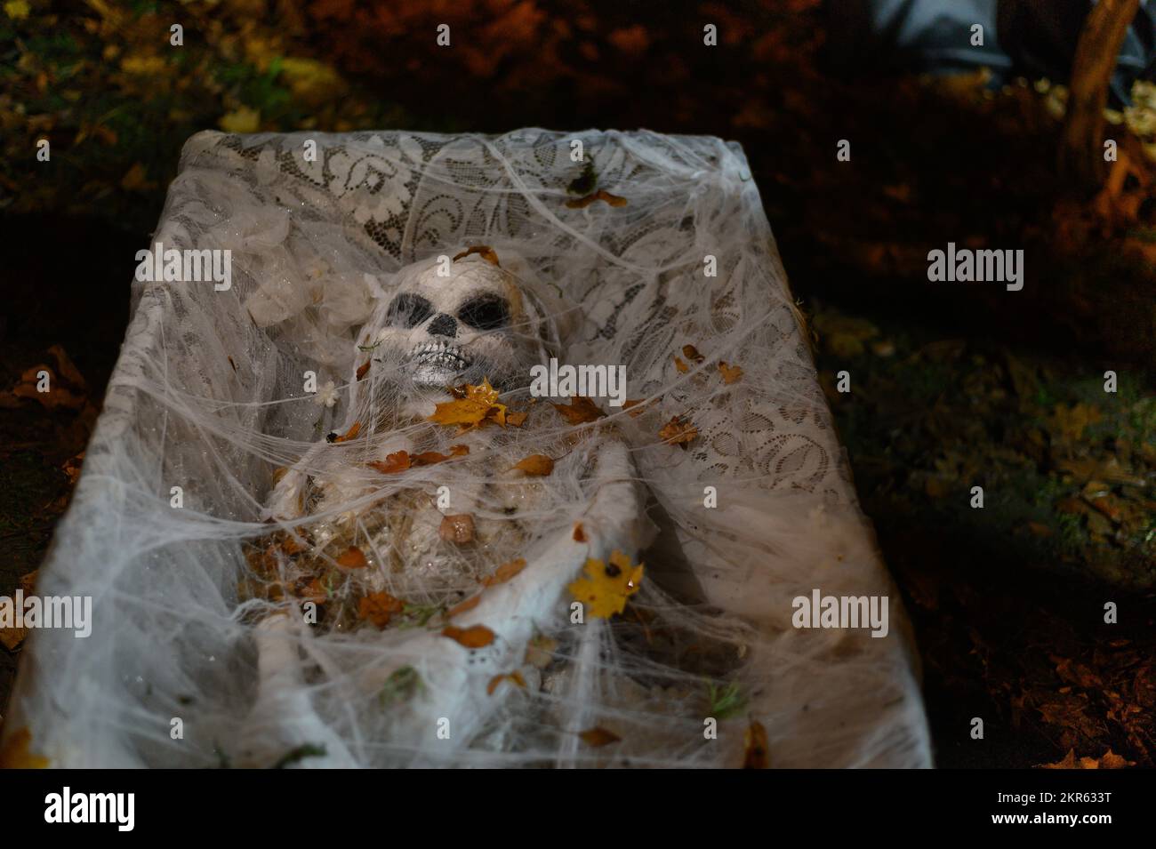 Body Exhumed After 20 Years Body Exhumed After 20 Years