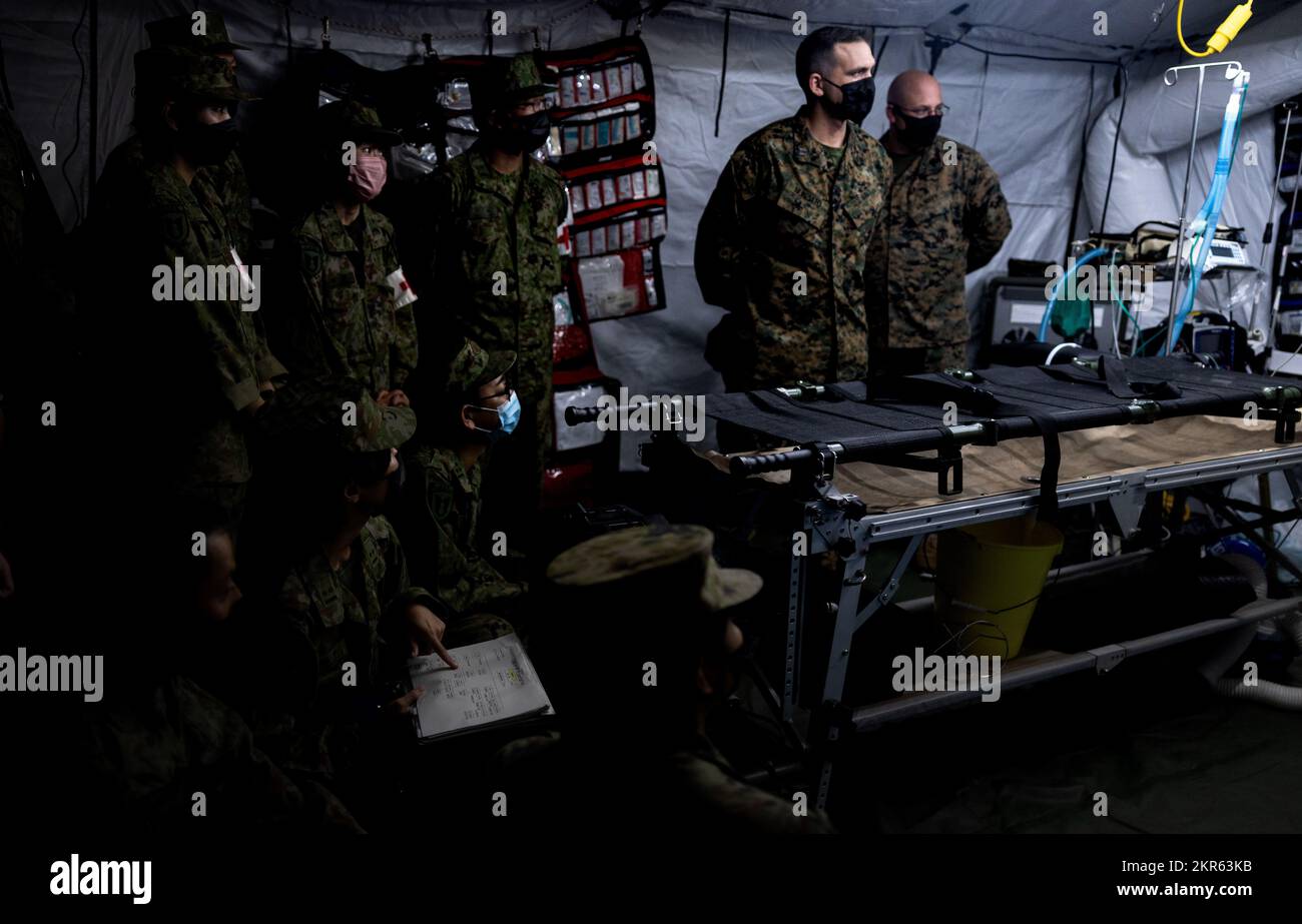 Japan Ground Self-Defense Force members view the Role 2 Military ...