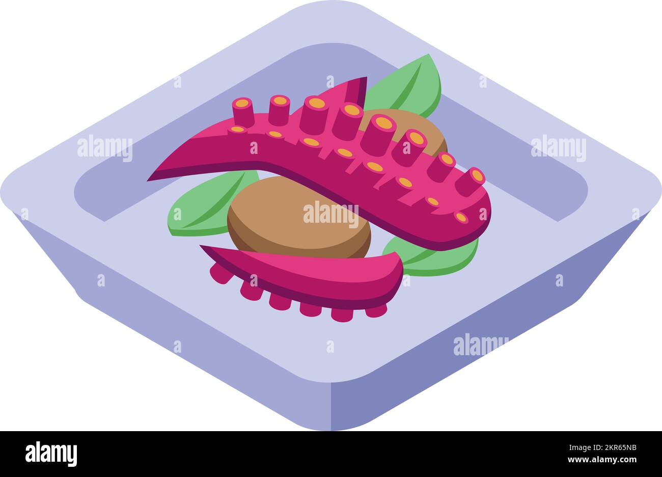 Octopus food icon isometric vector. Portugal cuisine. Meal dish Stock ...