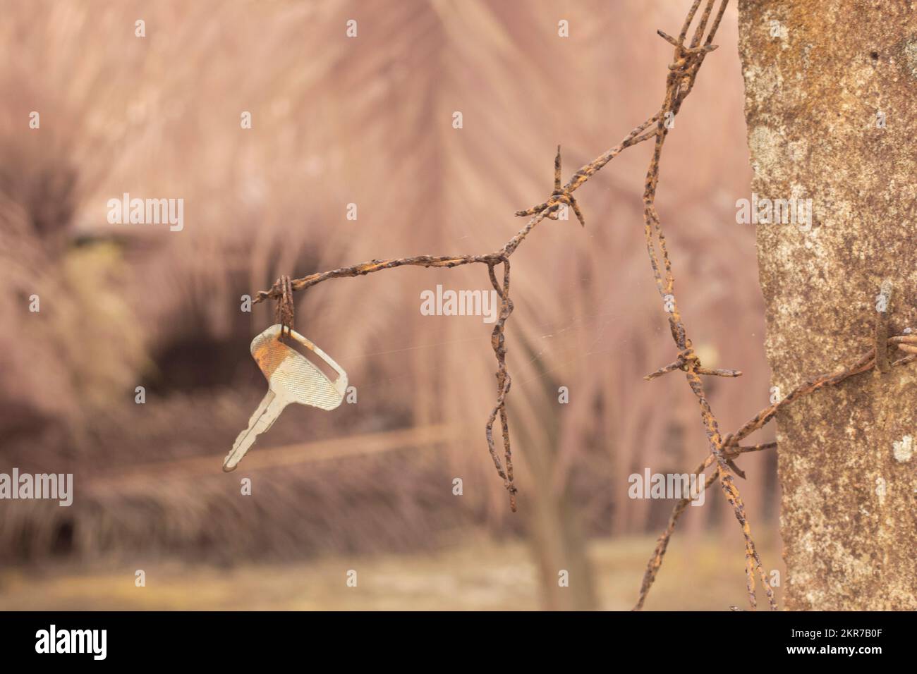 infrared image of the old steel key on the rusty bard wire line Stock ...