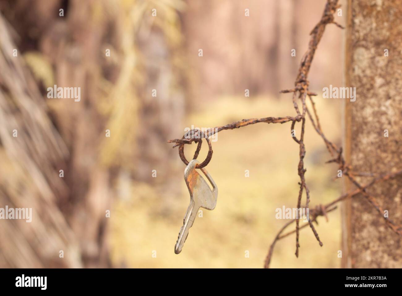 infrared image of the old steel key on the rusty bard wire line Stock ...