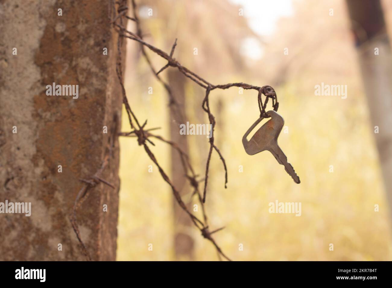 infrared image of the old steel key on the rusty bard wire line Stock ...