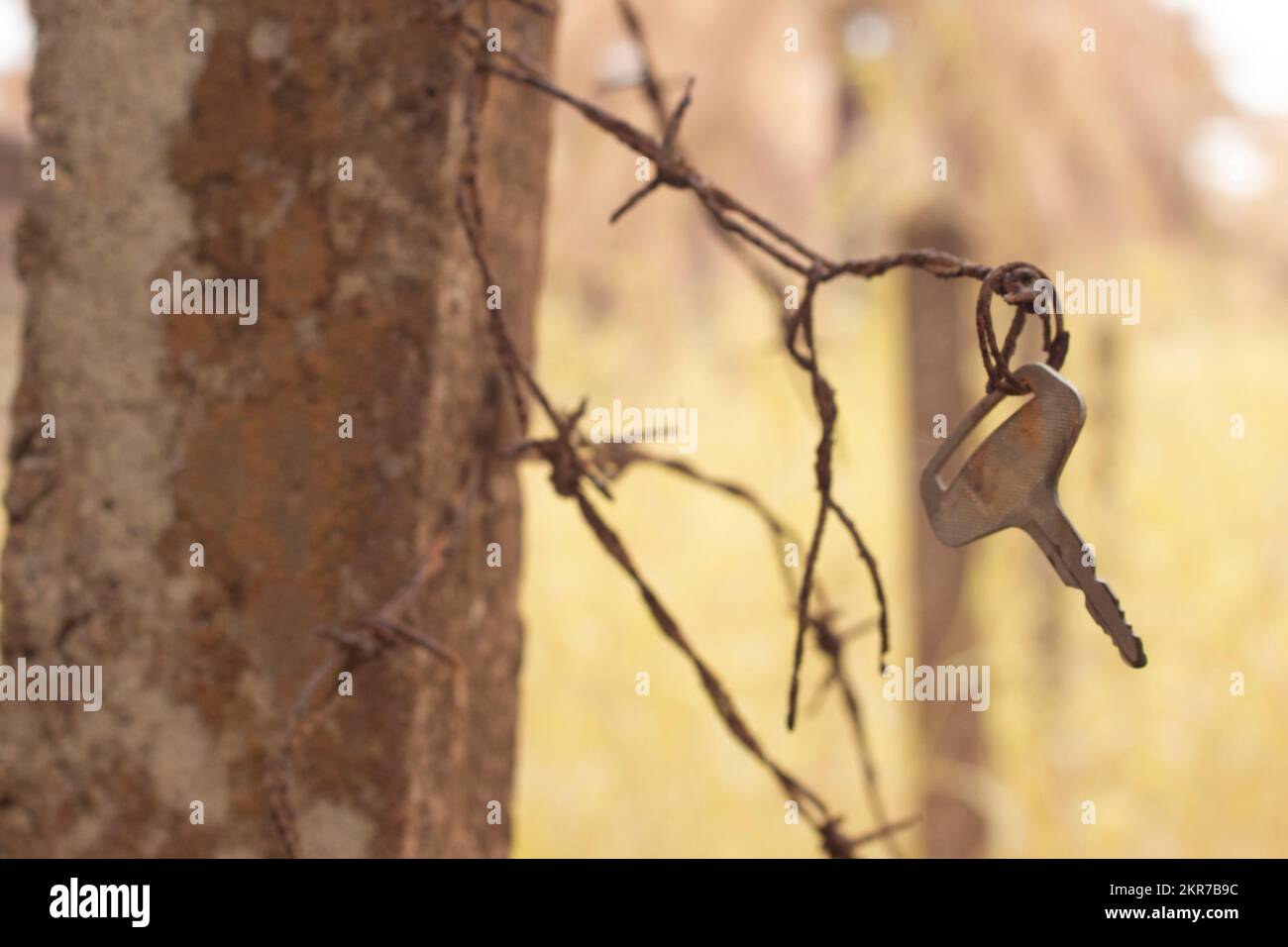 infrared image of the old steel key on the rusty bard wire line Stock ...