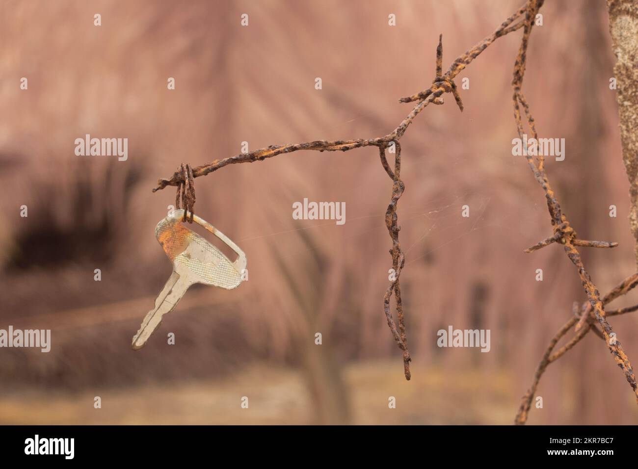 infrared image of the old steel key on the rusty bard wire line Stock ...