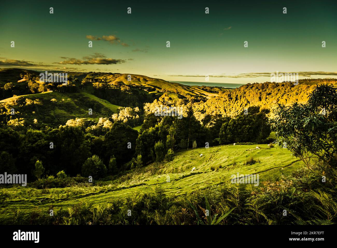 Hinterland ocean mountains hi-res stock photography and images - Alamy