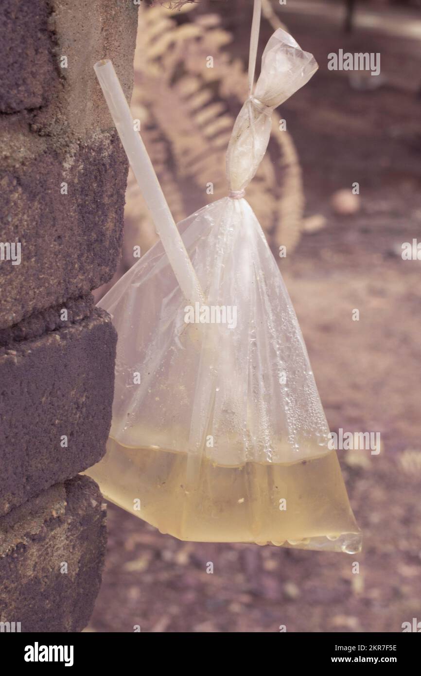 infrared image of the someone left a hanging plastic drink bag at the ...