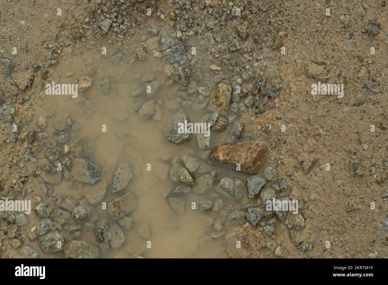 infrared image of the stagnant rain water inundated at the oil palm ...