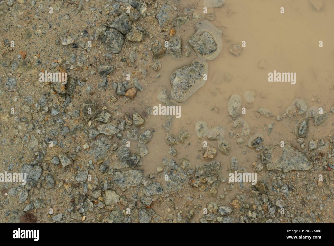 infrared image of the stagnant rain water inundated at the oil palm ...