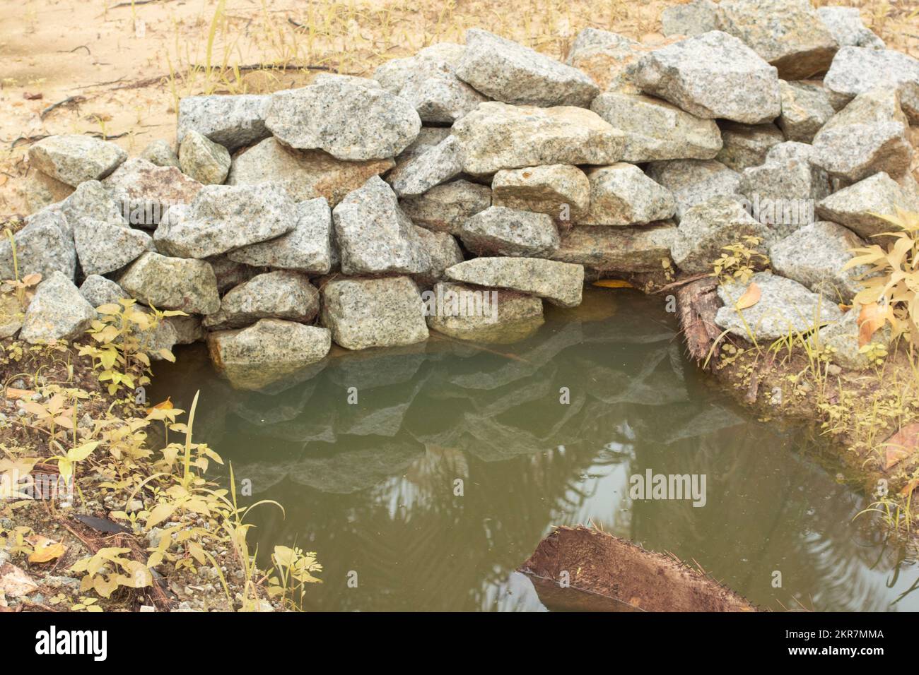 infrared image of the stagnant rain water inundated at the oil palm ...