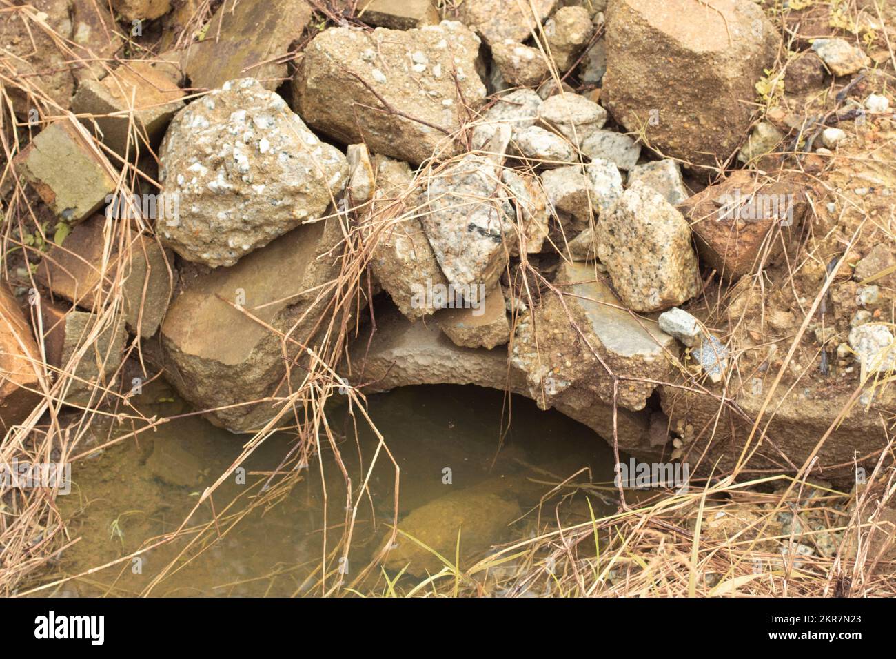 infrared image of the stagnant rain water inundated at the oil palm ...
