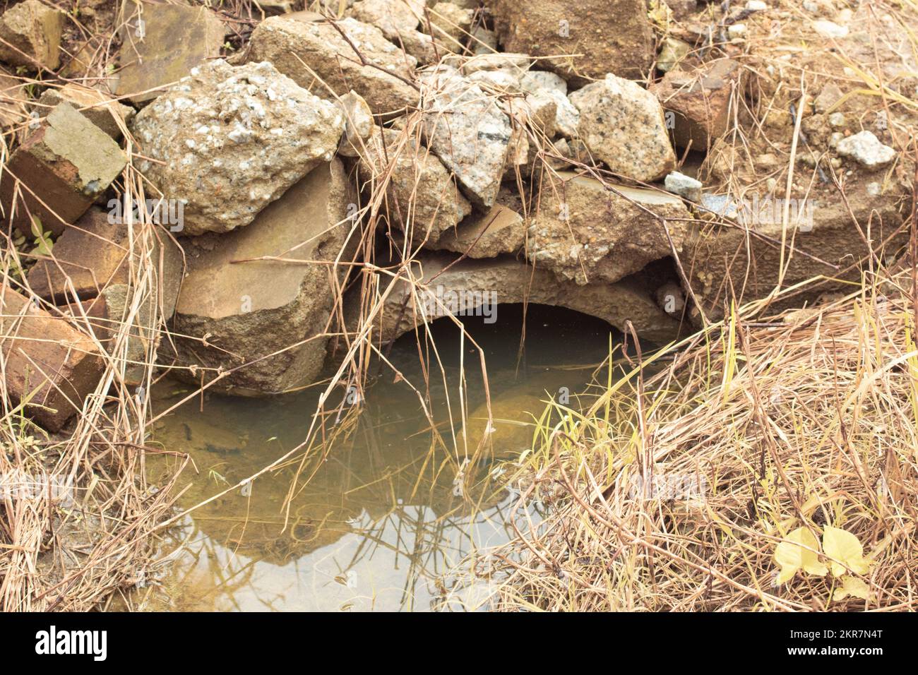 infrared image of the stagnant rain water inundated at the oil palm ...