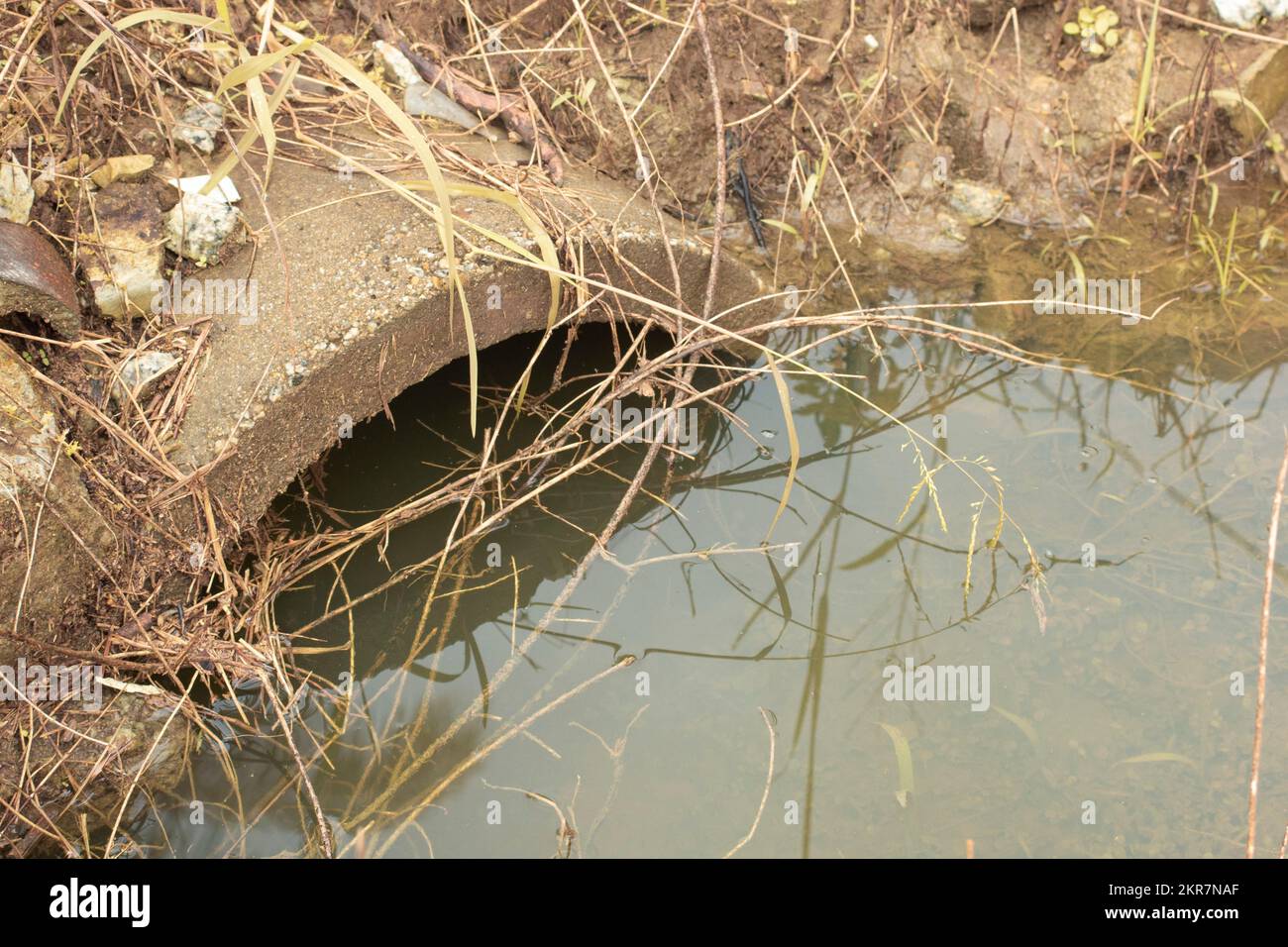 infrared image of the stagnant rain water inundated at the oil palm ...