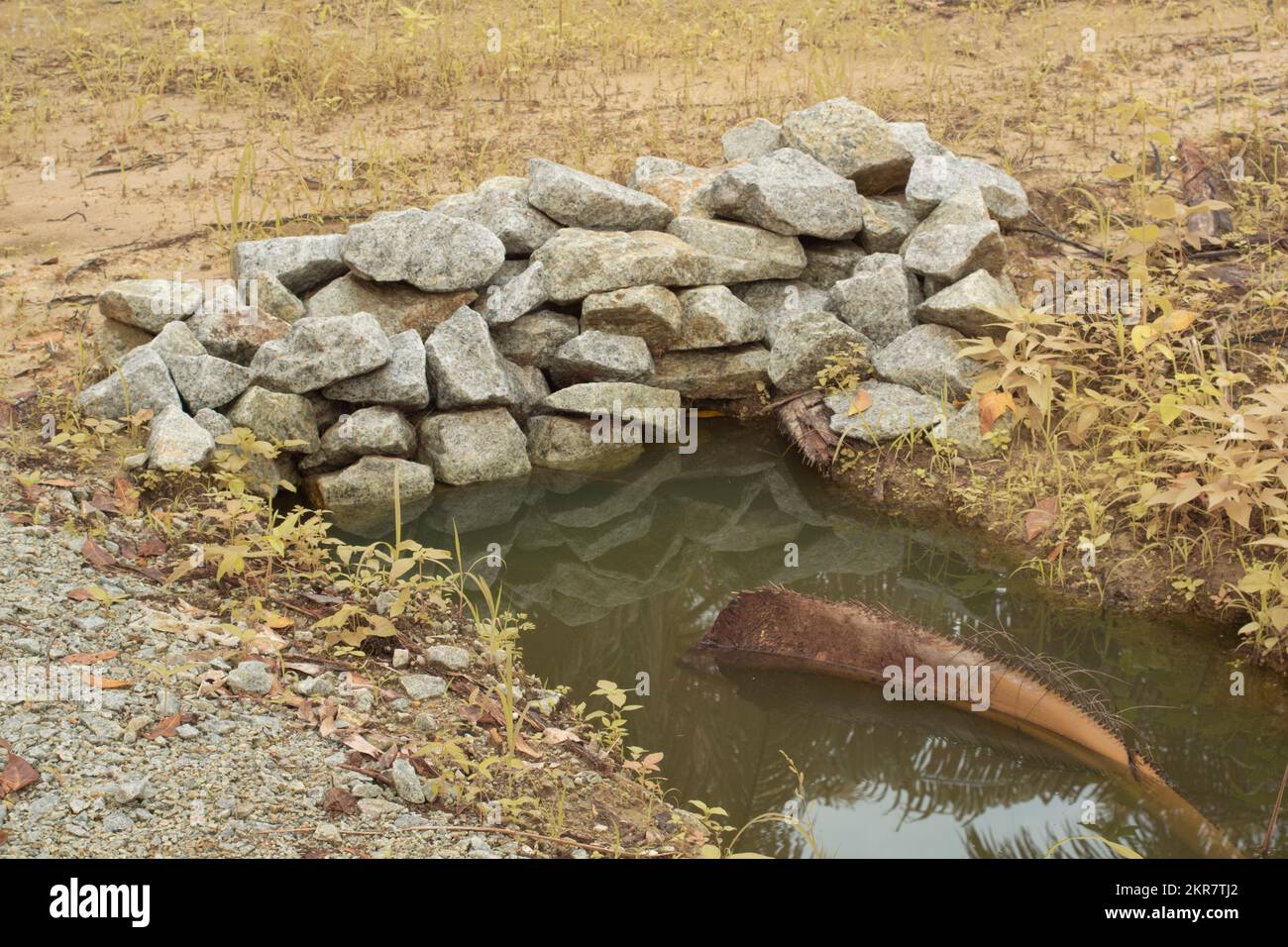 infrared image of the stagnant rain water inundated at the oil palm ...