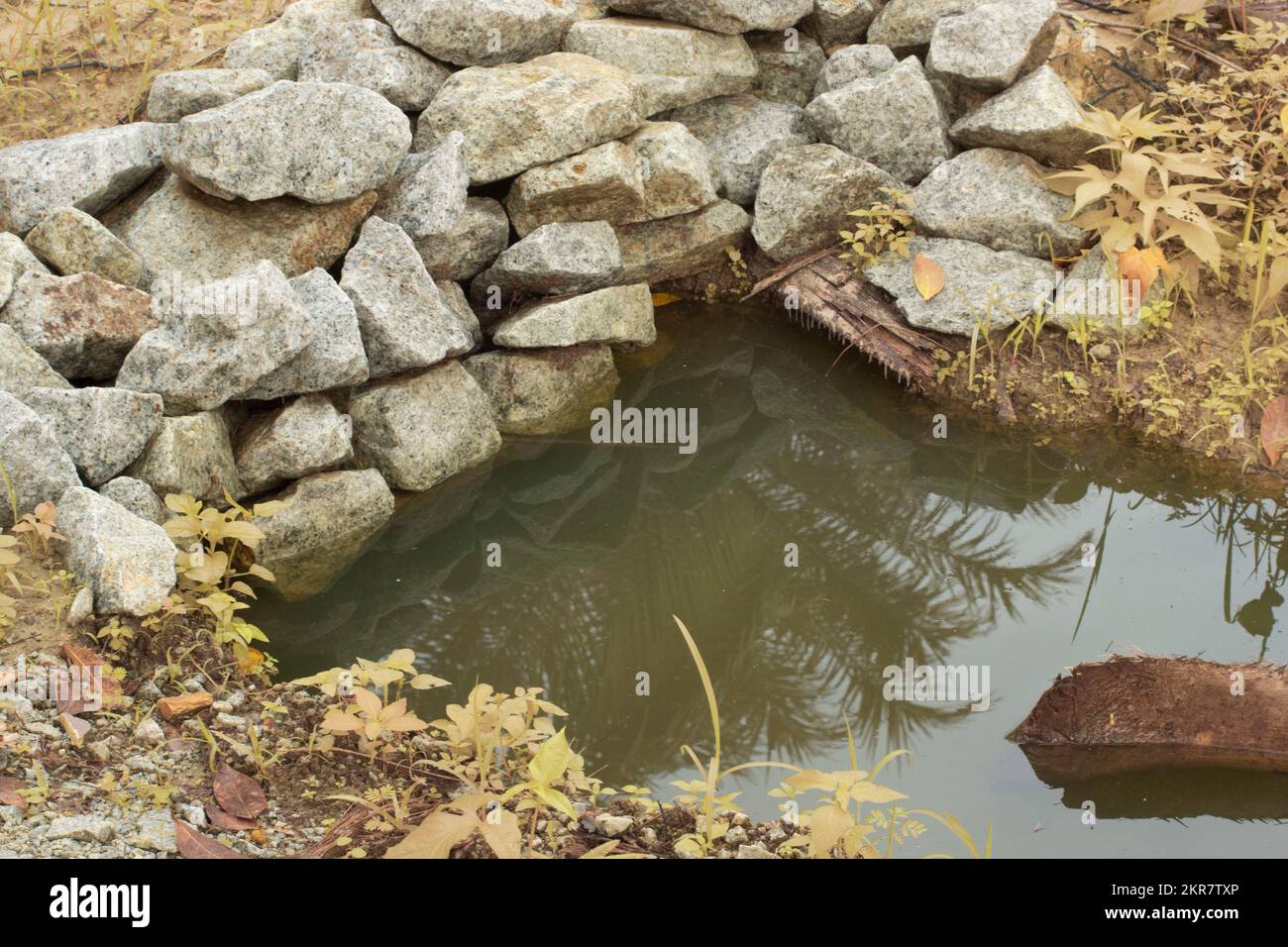 infrared image of the stagnant rain water inundated at the oil palm ...