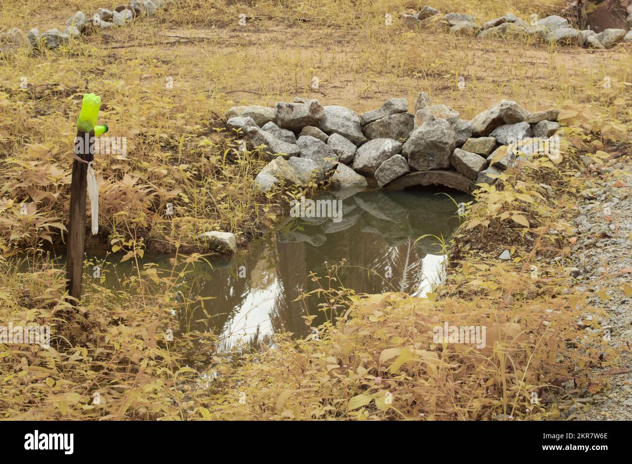 infrared image of the stagnant rain water inundated at the oil palm ...