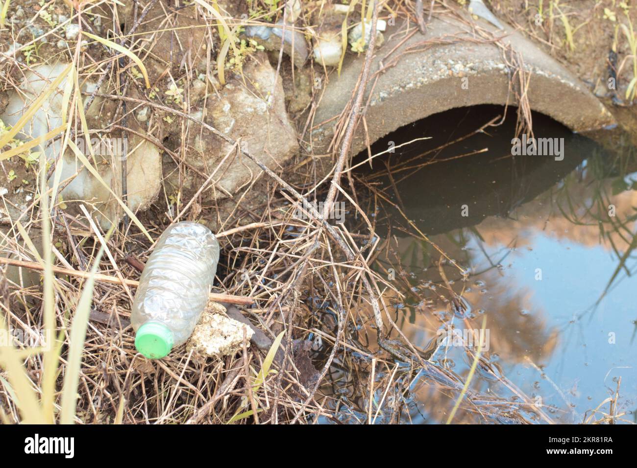 infrared image of the stagnant rain water inundated at the oil palm ...