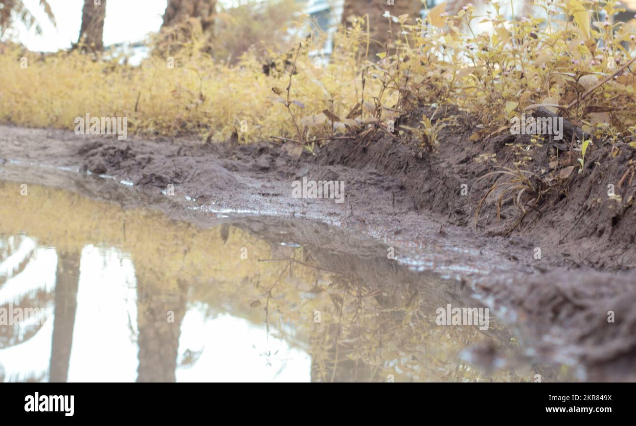 infrared image of the stagnant rain water inundated at the oil palm ...