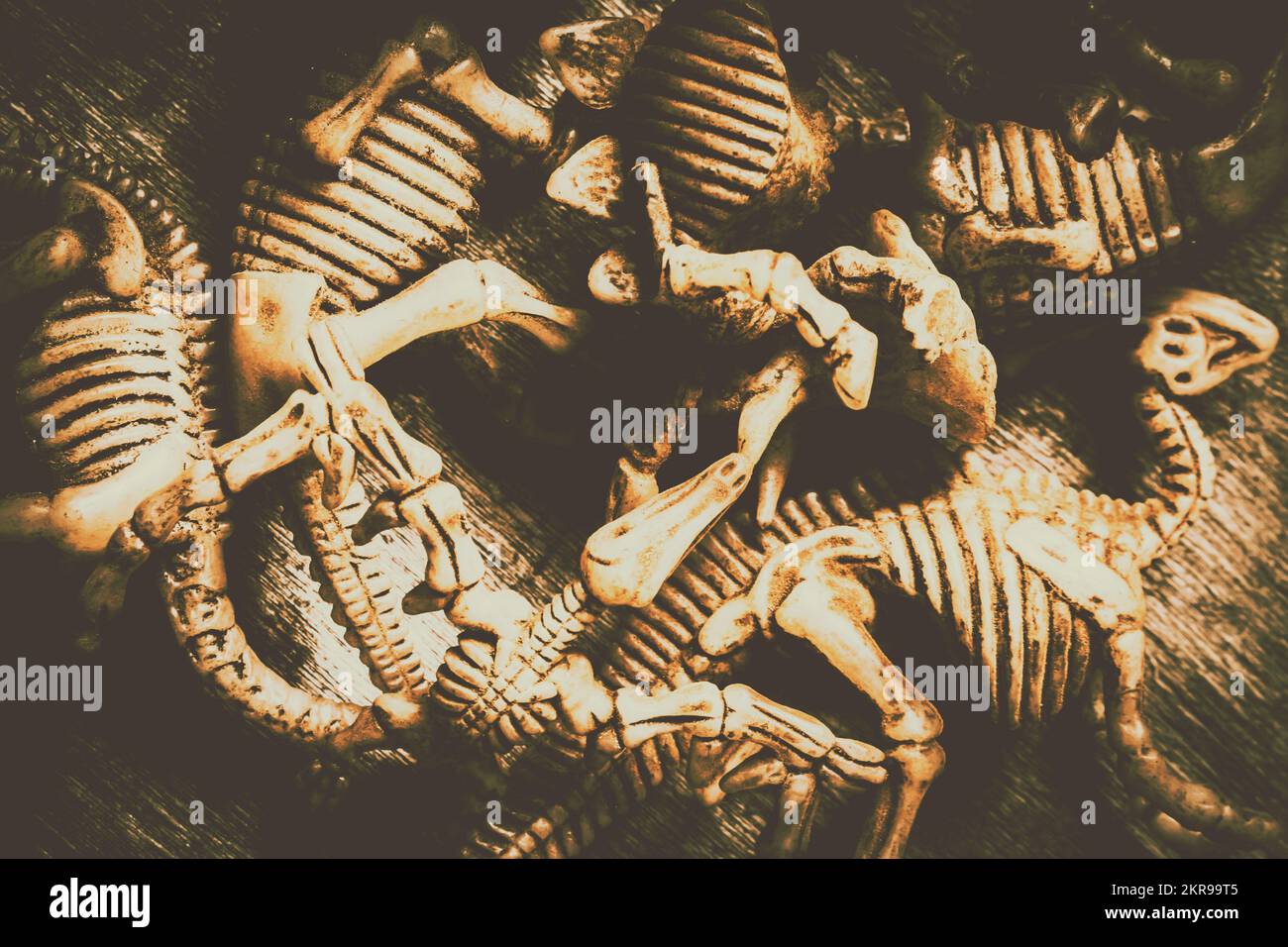 Fine artwork on a abstraction of prehistoric bones in miniature form ...