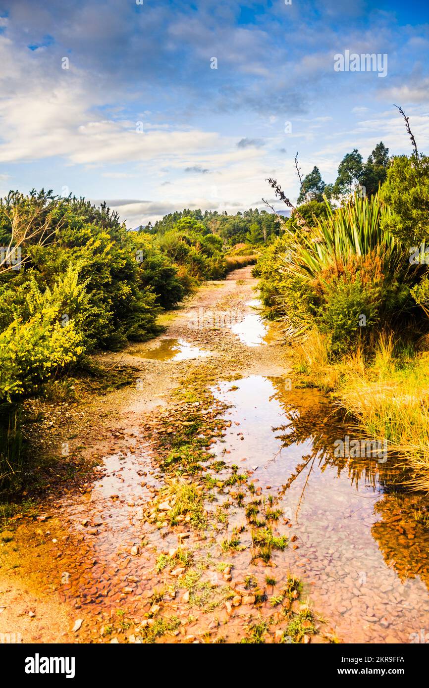 Colorful fall landscape of a rocky beaten pathway leading through ...