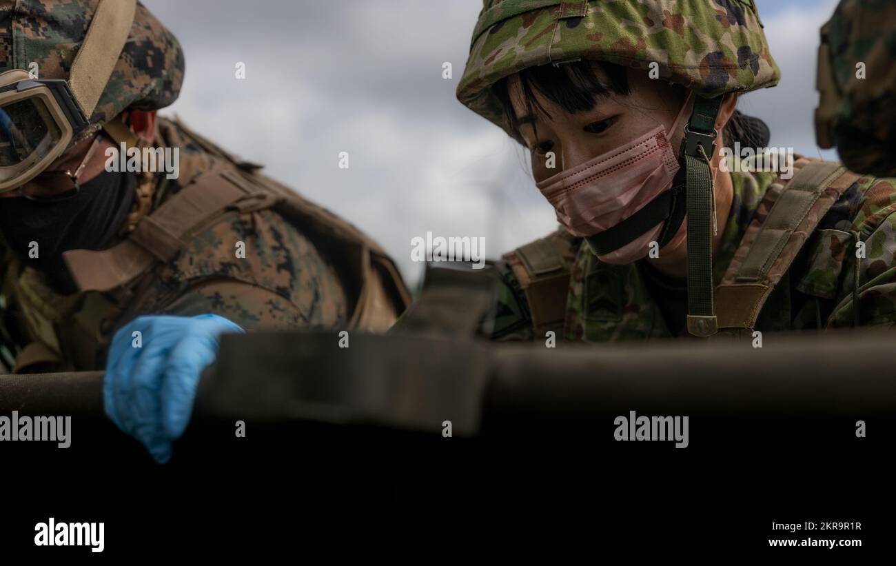 U.S. Navy Corpsmen with 3d Medical Battalion and Japan Ground Self ...