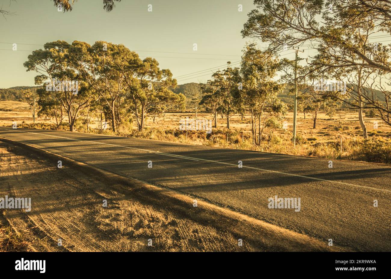Diagonal perspective on a empty regional Australia road with roadside ...