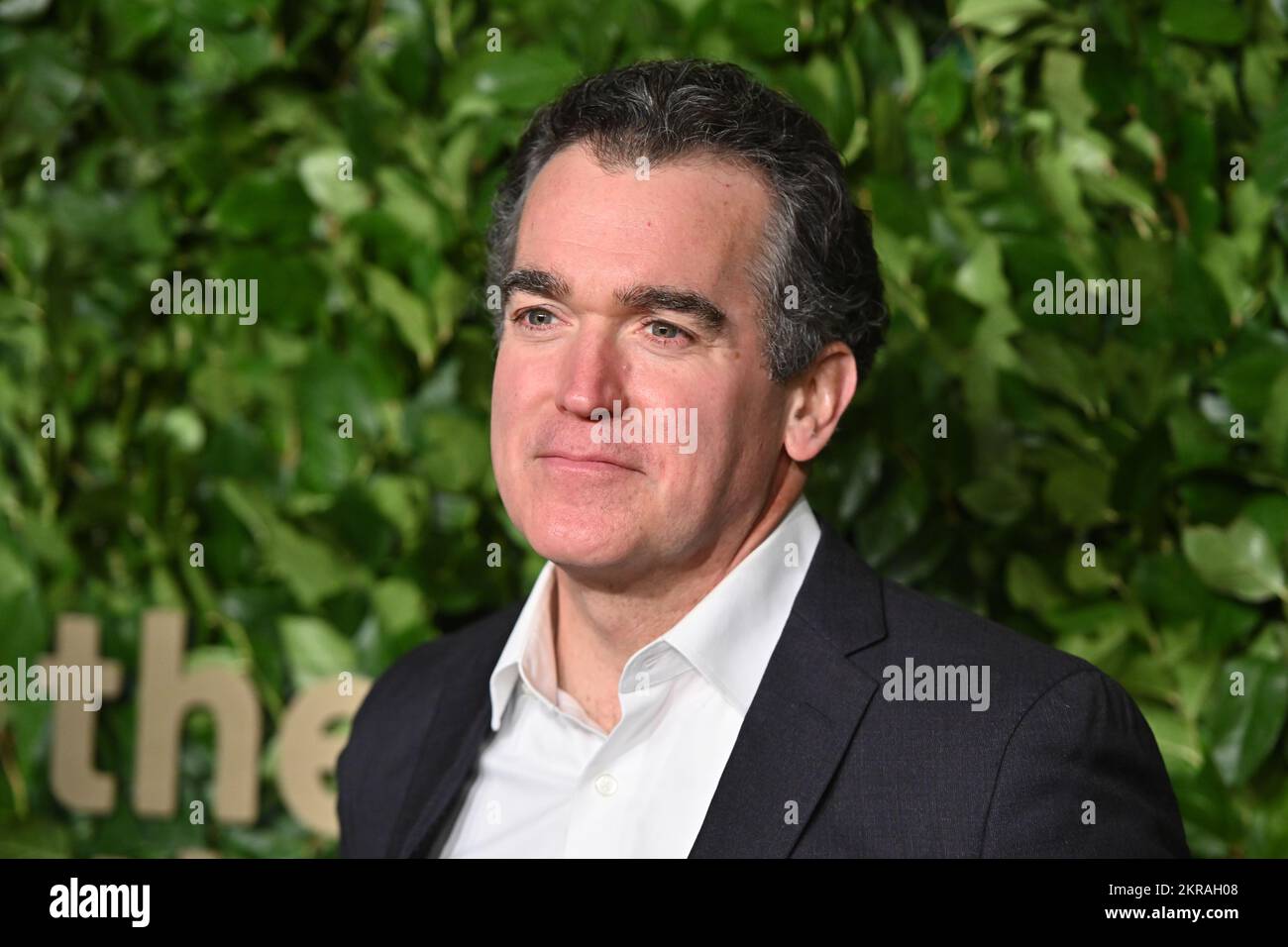 Brian d'Arcy James Stock Photo - Alamy