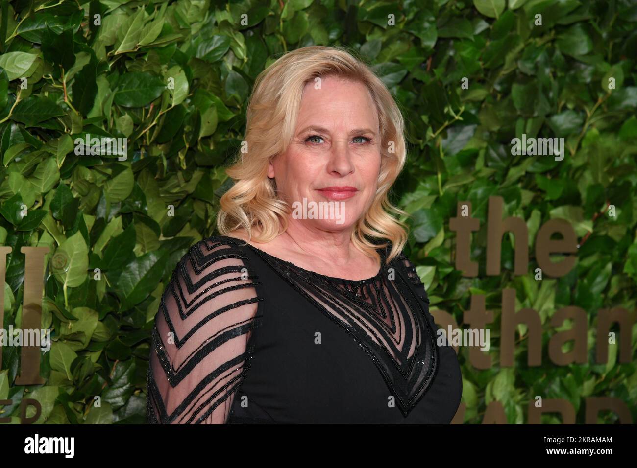 Celebrities patricia arquette hi-res stock photography and images - Alamy