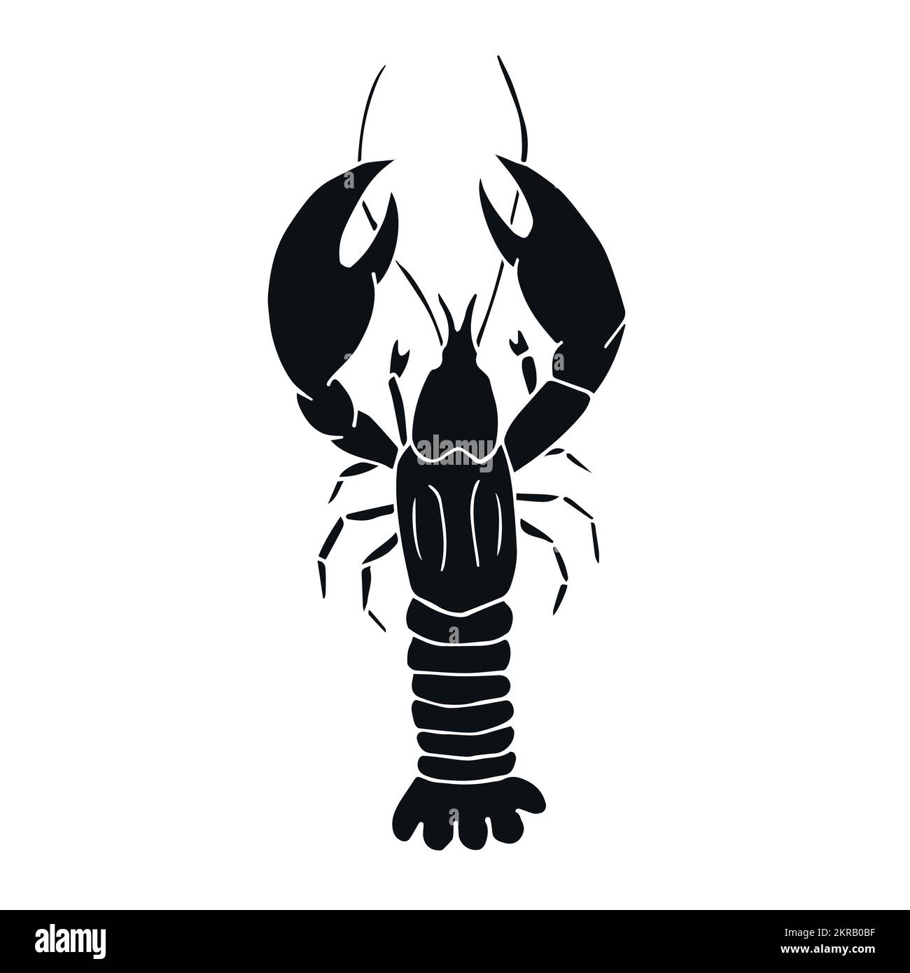 Vector hand drawn doodle sketch black lobster isolated on white ...