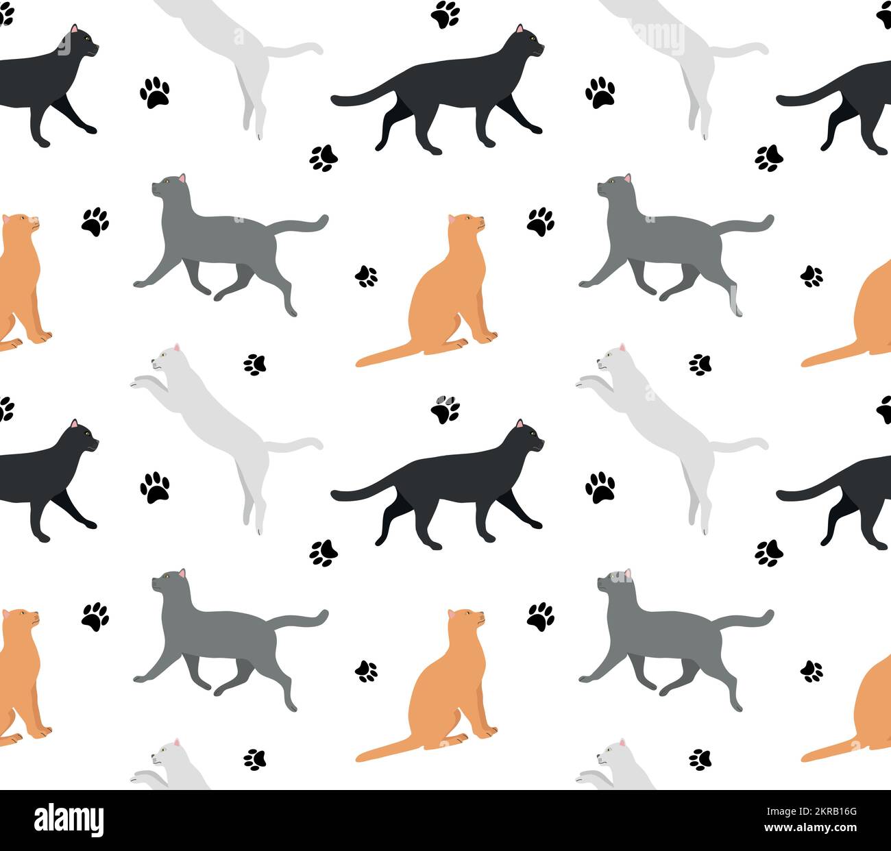Vector seamless pattern of flat different cats isolated on white ...