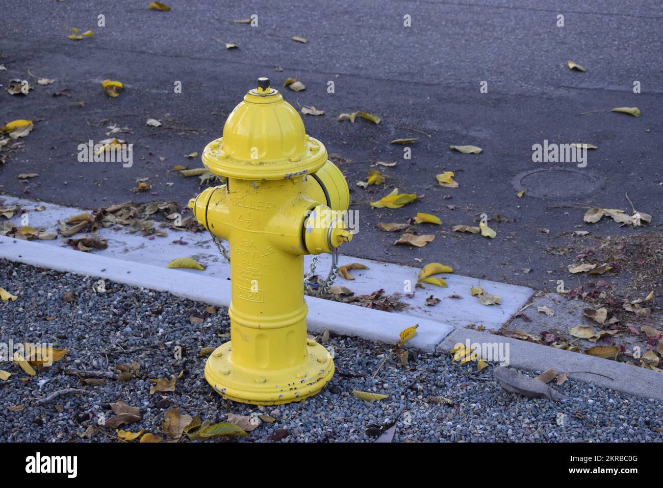 yellow fire hydrant on curb Stock Photo - Alamy
