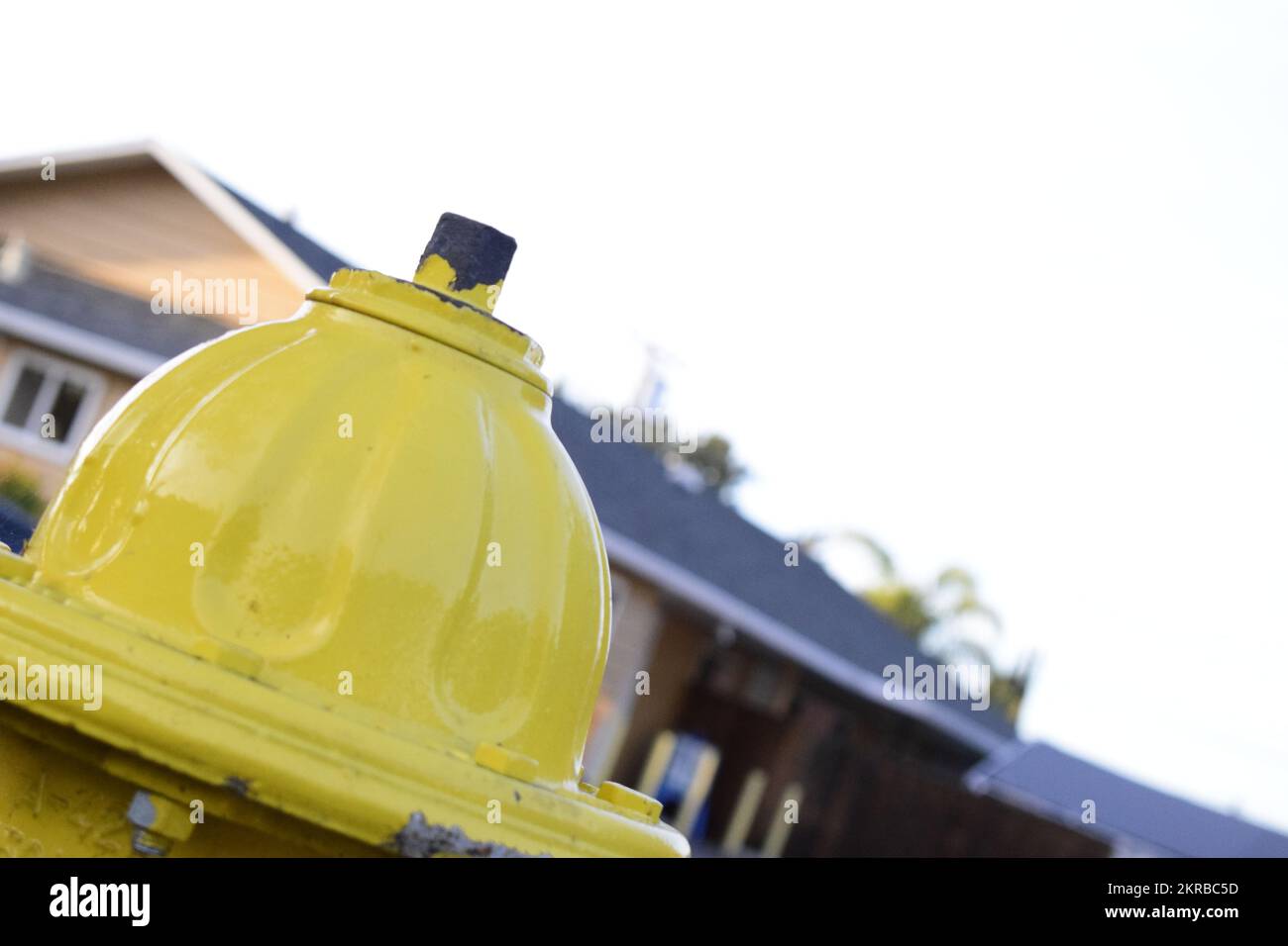 yellow fire hydrant on curb Stock Photo - Alamy
