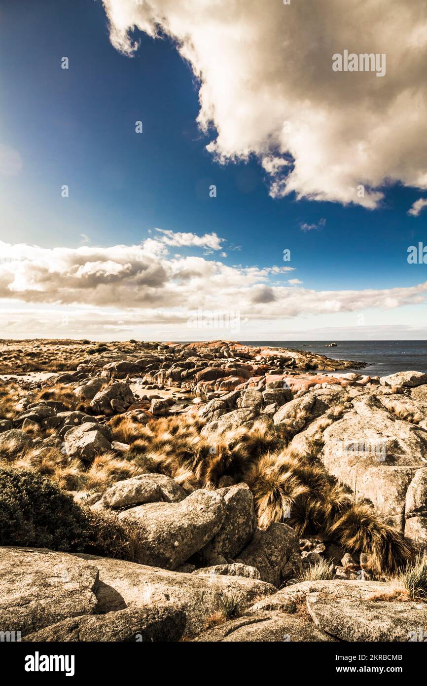 Tasmania vertical blue sky hi-res stock photography and images - Alamy
