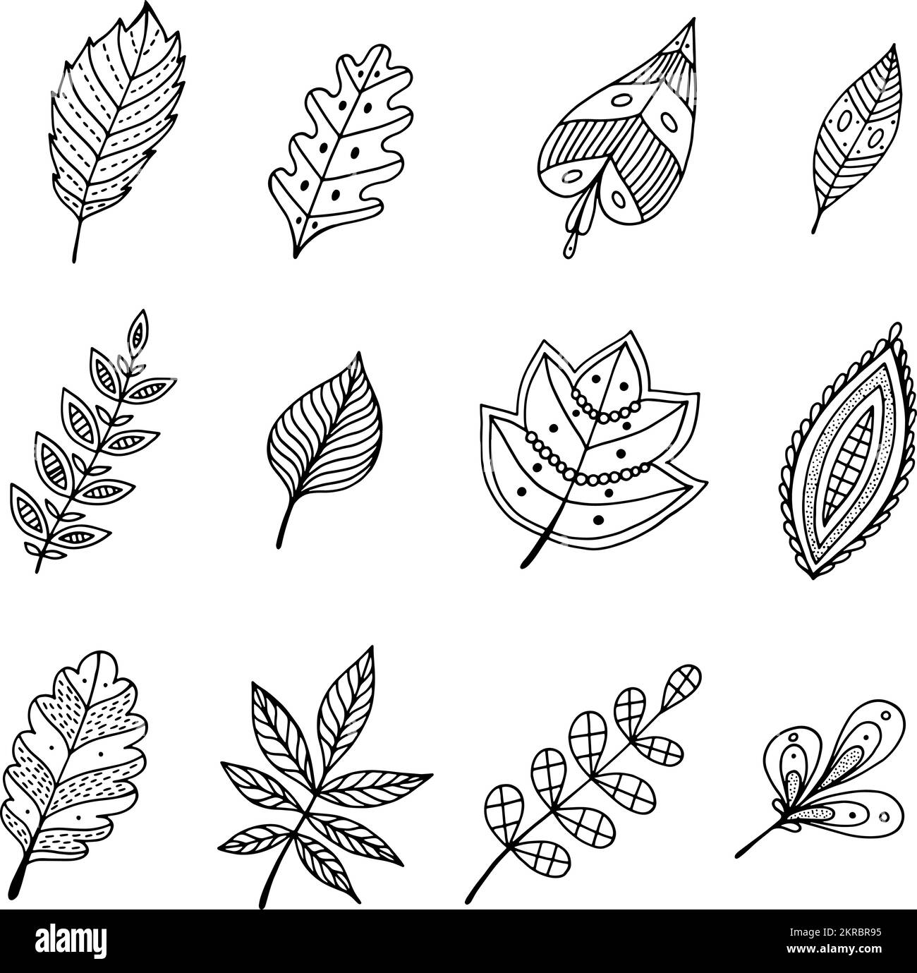 Autumn leaves line art set. Collection of nature floral elements ...