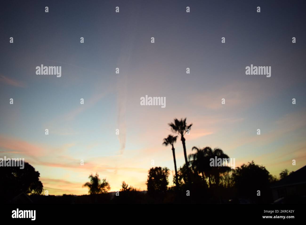 beautiful sunset with palm tree silhouette Stock Photo - Alamy