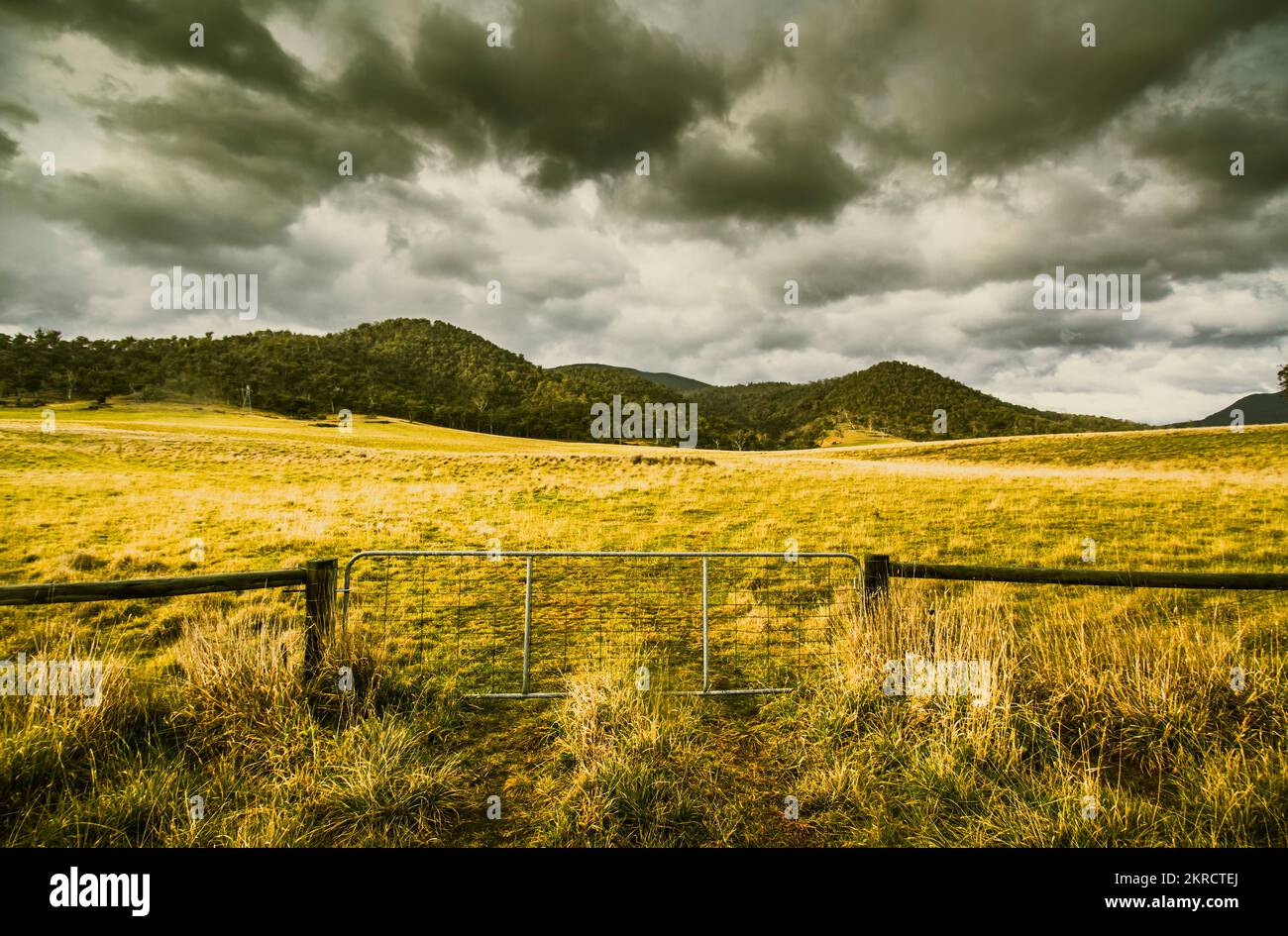 Wide-angle nature landscape of farm land in Tasmania with dramatic ...