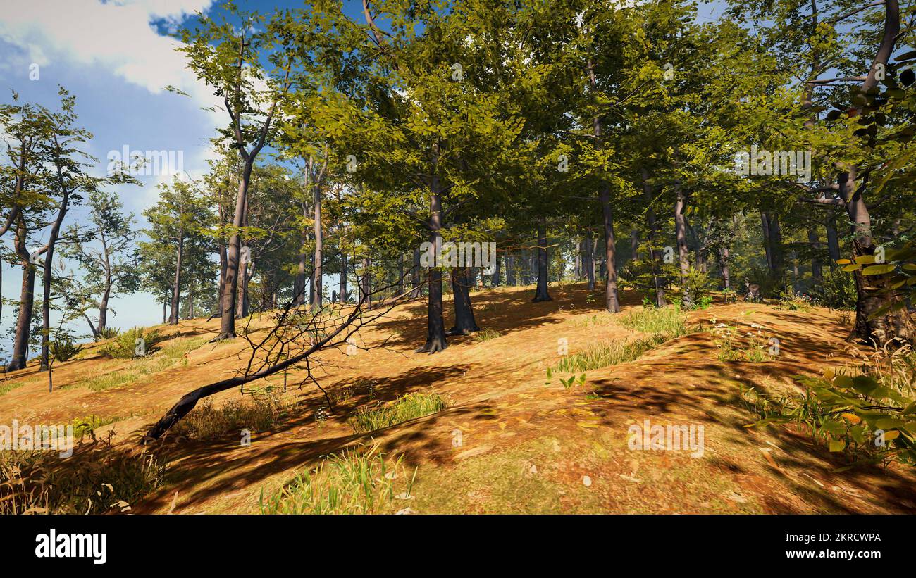 3D rendering. An immersive natural environment. Landscape to illustrate ...