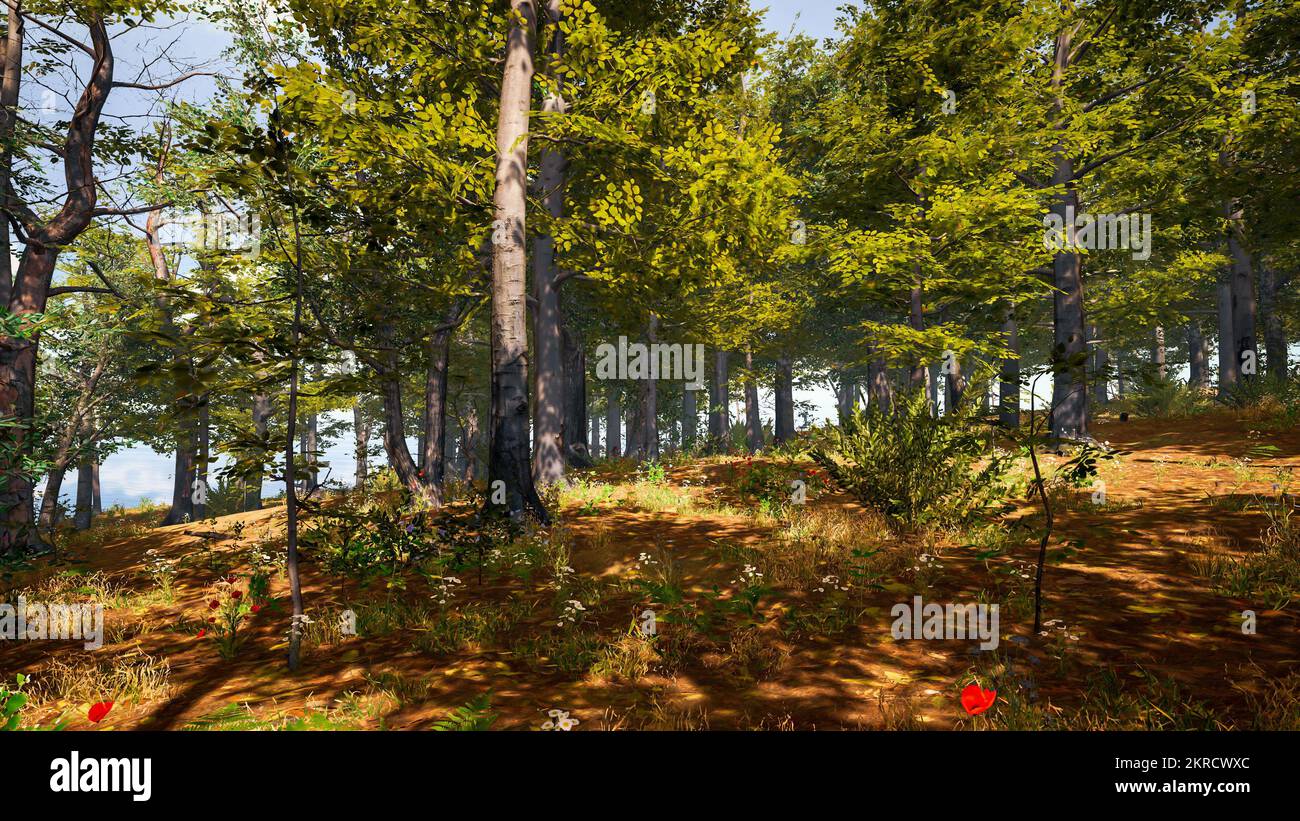 3D rendering. An immersive natural environment. Landscape to illustrate ...