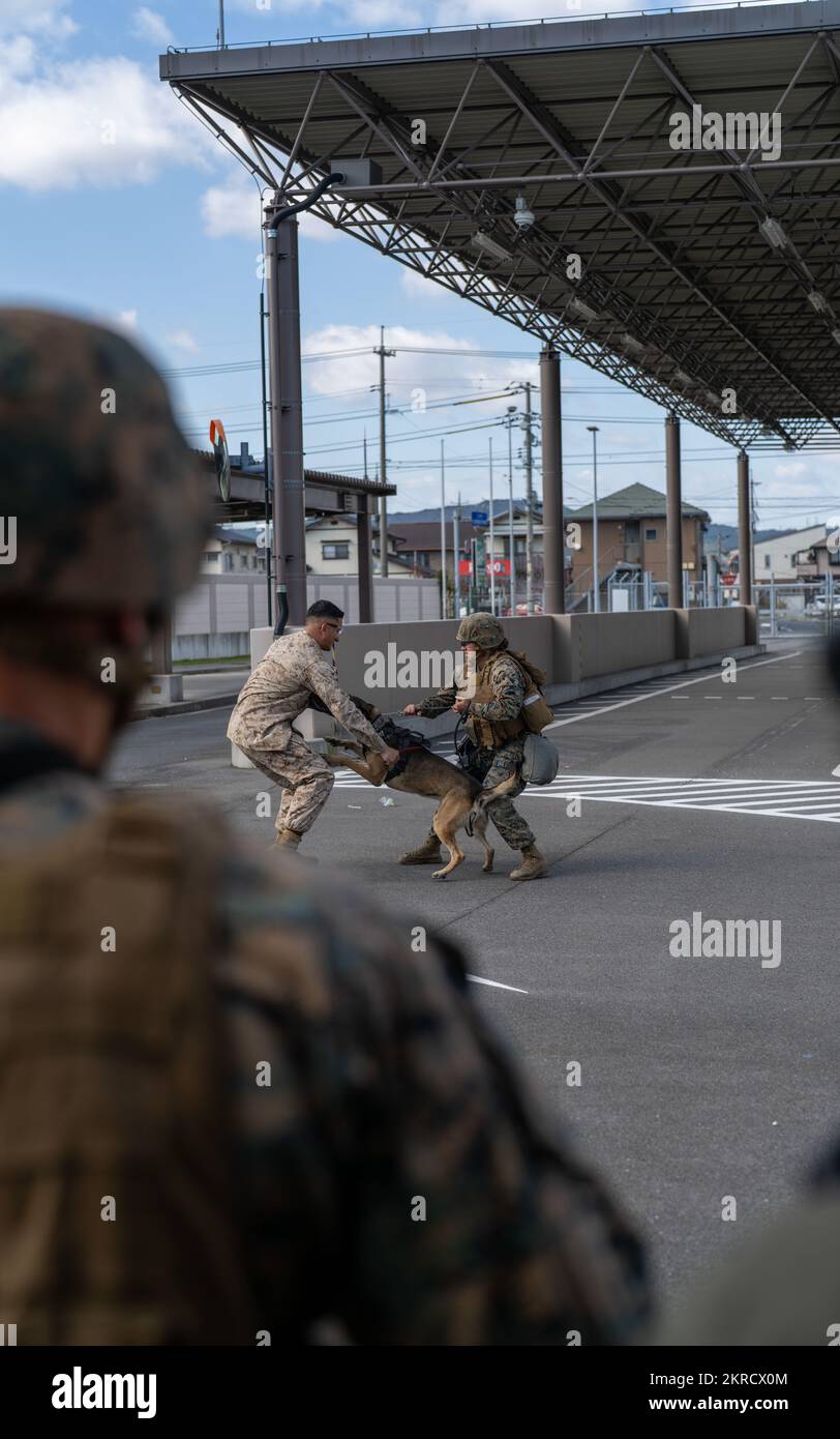 U.S. Marines Corps Cpl. Maria Busson, a military working dog handler ...