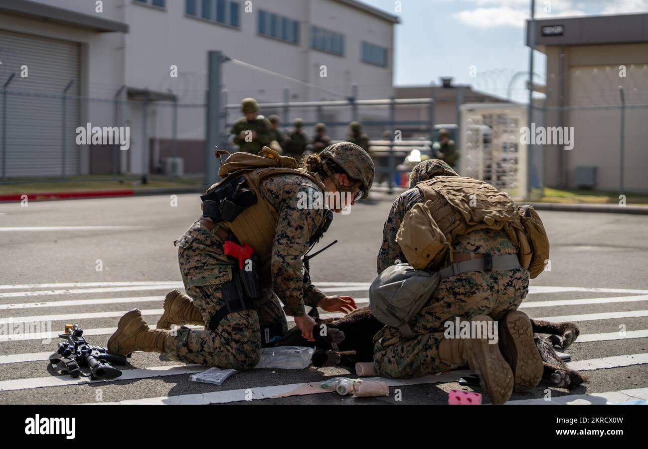 U.S. Marine Corps Cpl. Maria Busson, left, and Cpl. Elijah Stoker ...
