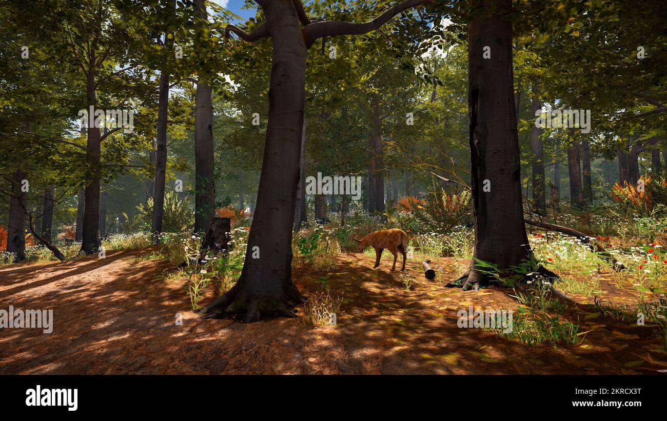 3D rendering. An immersive natural environment. Landscape to illustrate ...