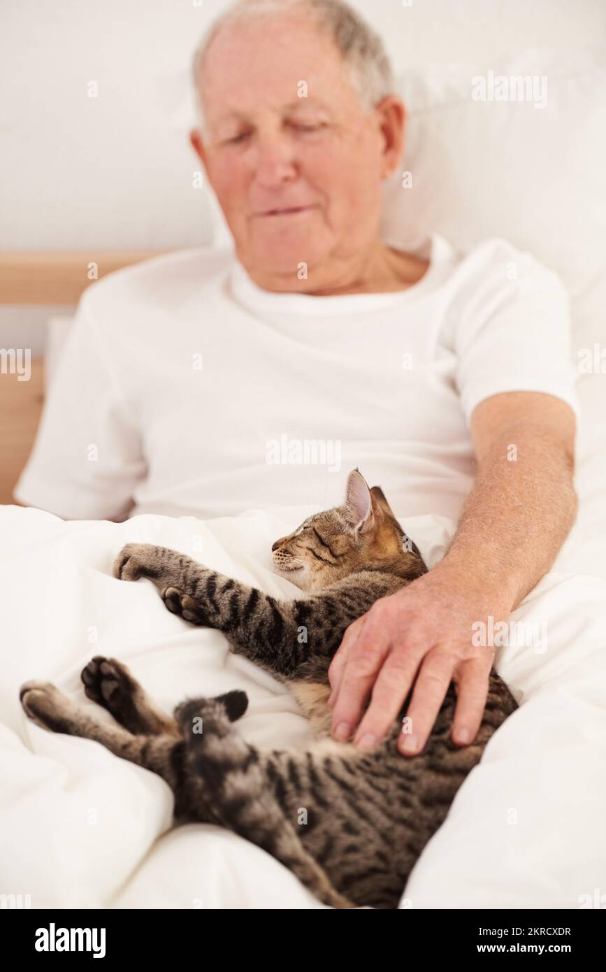 Hello little friend. an elderly man lying in bed with a cat Stock Photo ...
