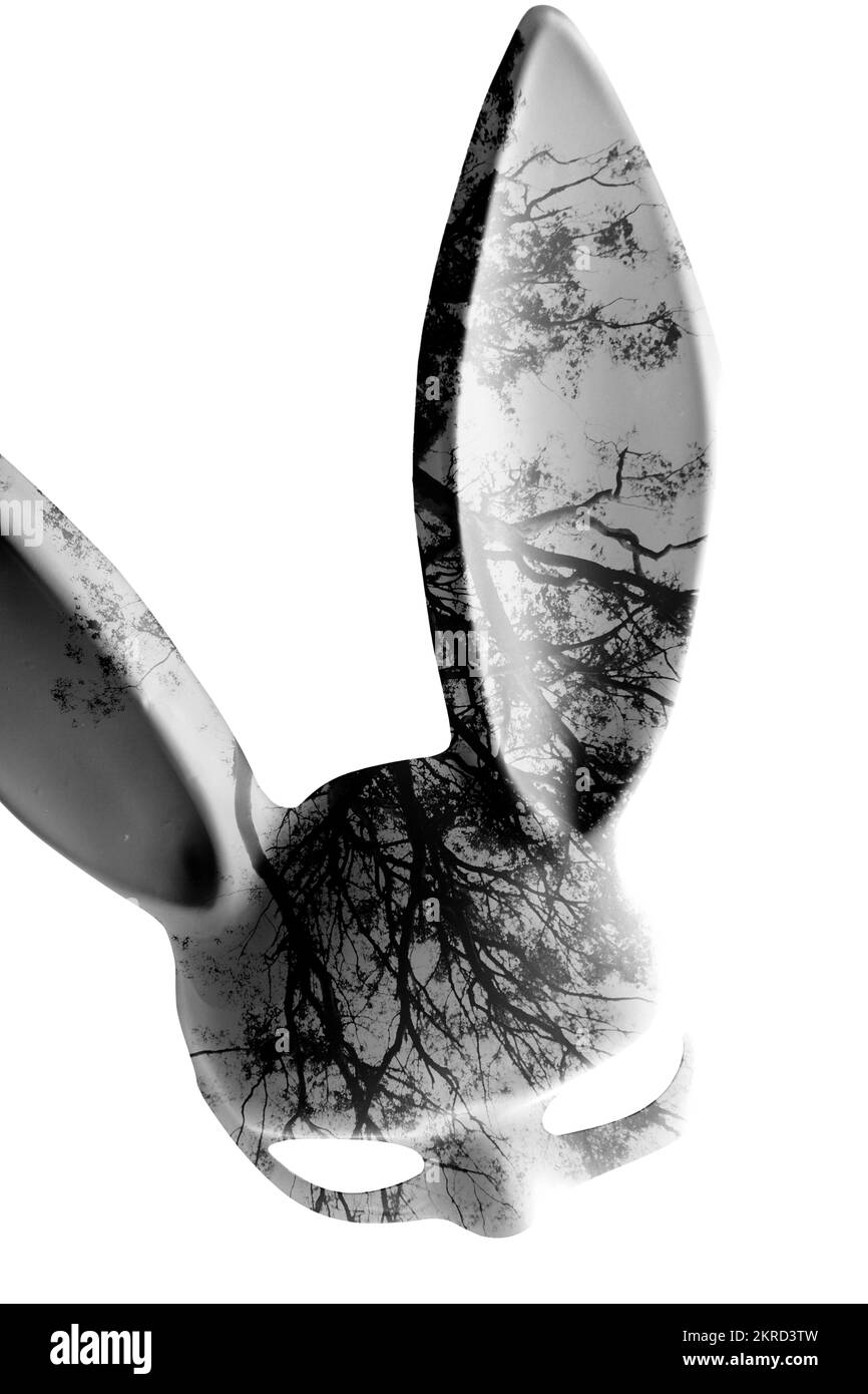 A formation of surreal psychosis with mass mind bending parables from ...