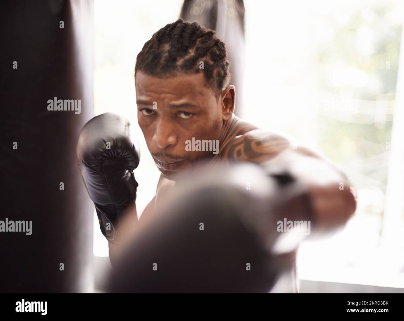 You are going down. Portrait of a young boxer practicing in a gym Stock ...