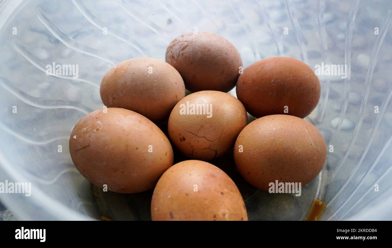 Close up rotten chicken egg unhealthy food cause infectious disease ...