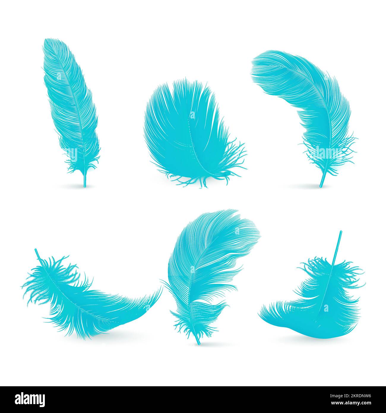 Vector 3d Realistic Blue Fluffy Feather Set Isolated on White ...