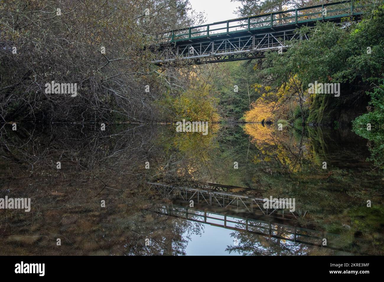 Lagunitas creek in Marin county, California in the San Francisco Bay ...