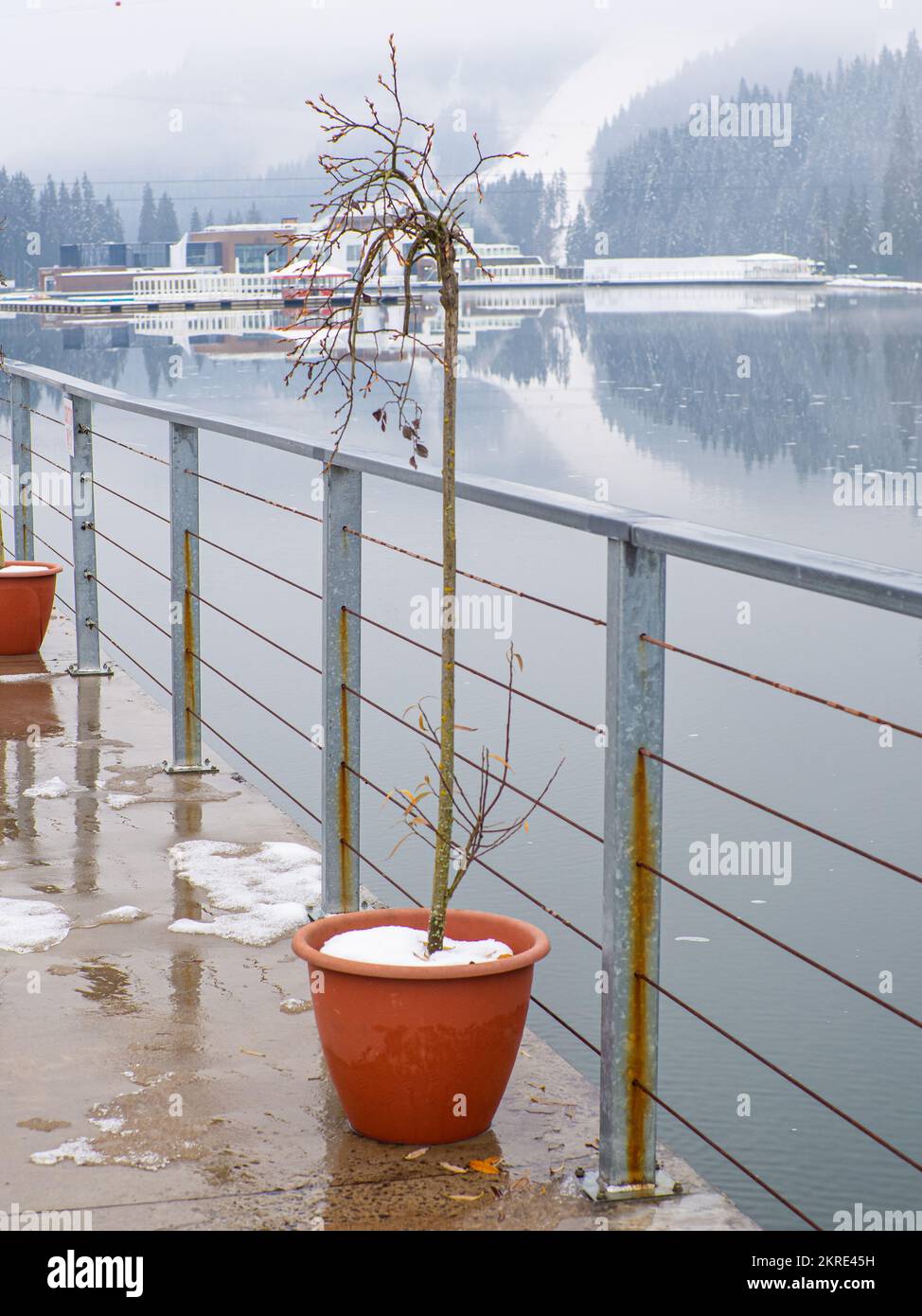 Flowerpot with snow hi-res stock photography and images - Alamy