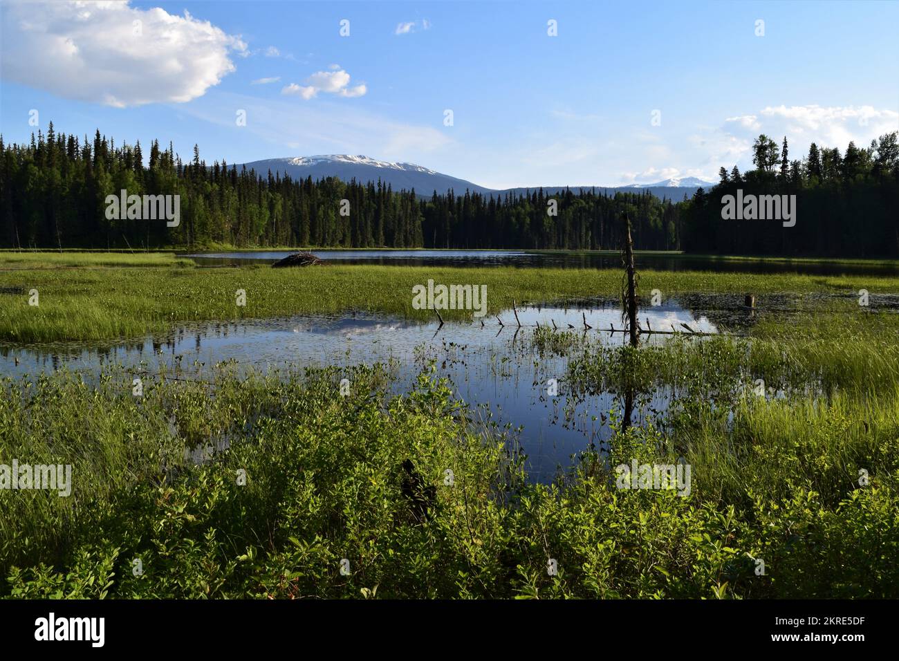 Boot lake hi-res stock photography and images - Alamy